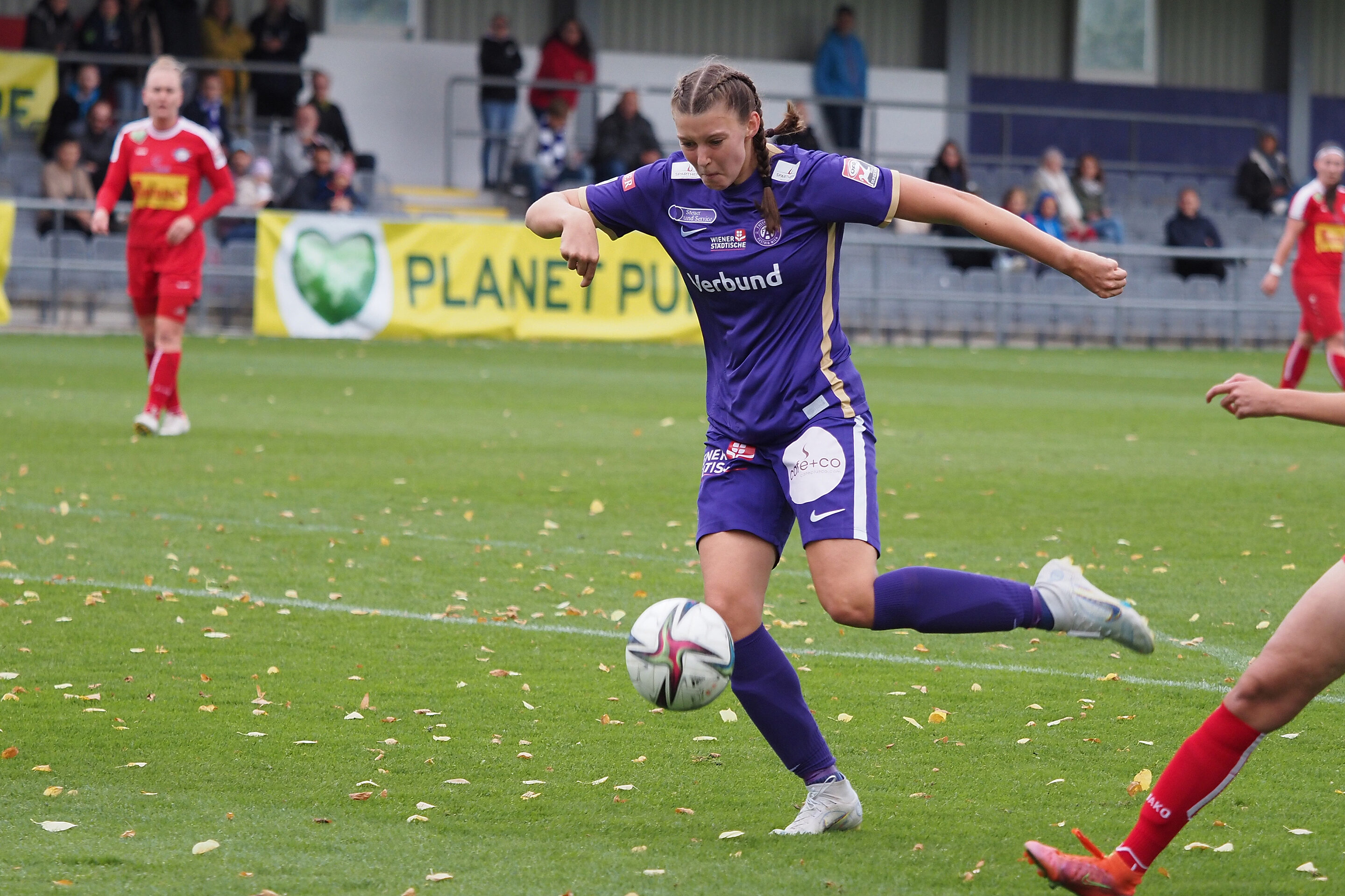 7:0! Gelungene Heimspiel-Premiere gegen Bergheim