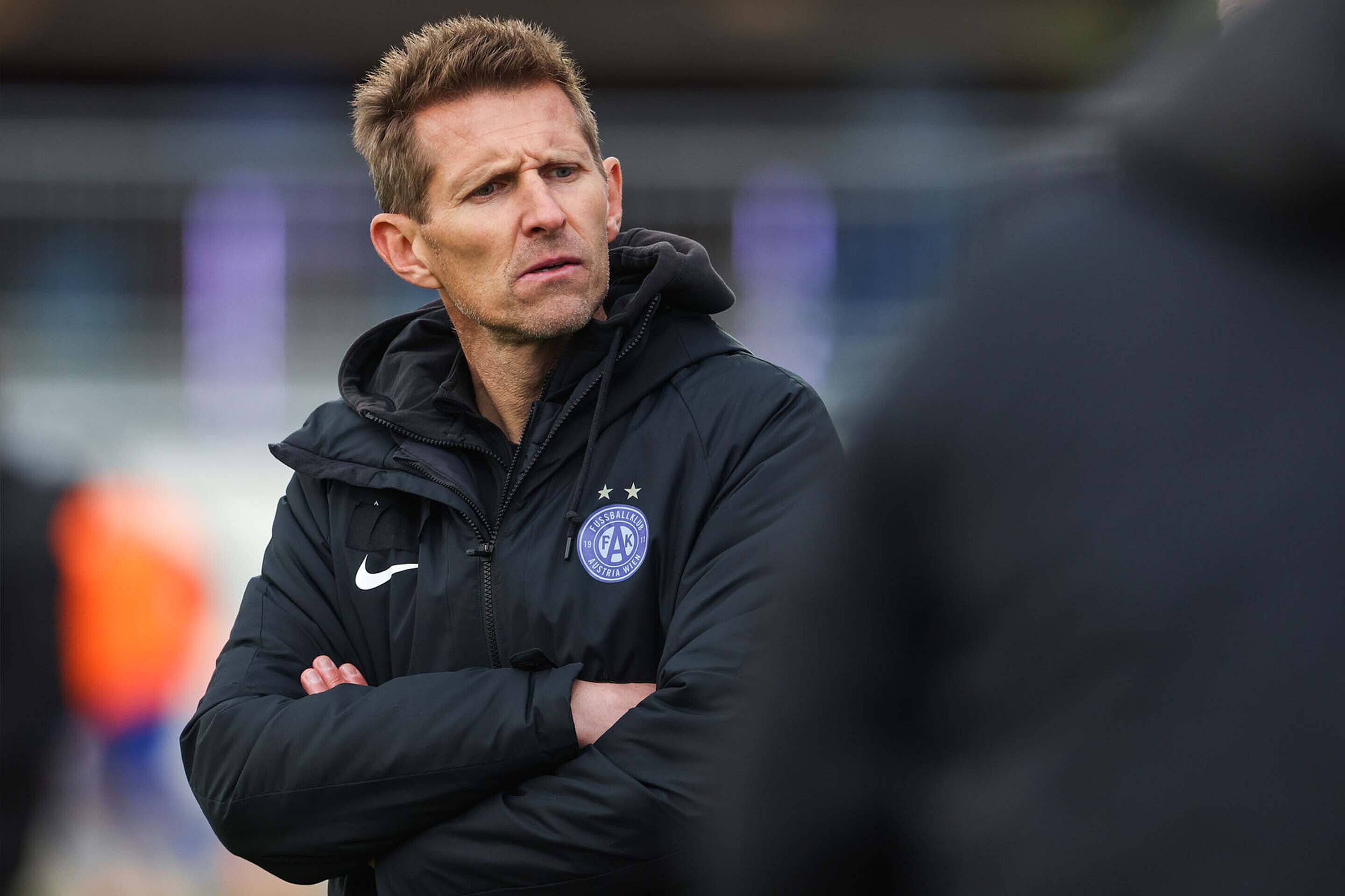 Jungveilchen gastieren in Horn